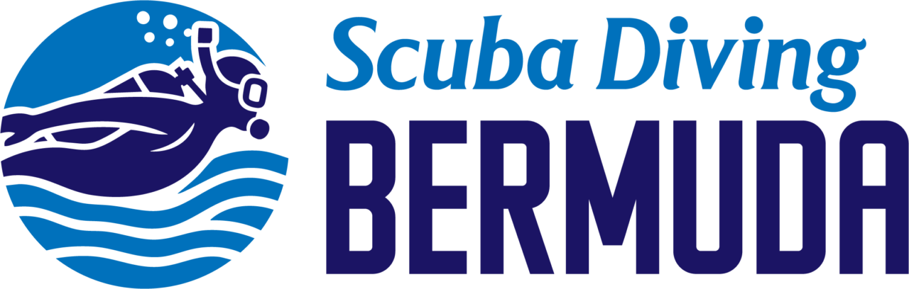 Experience the Best Scuba Diving in Bermuda | Book Now
